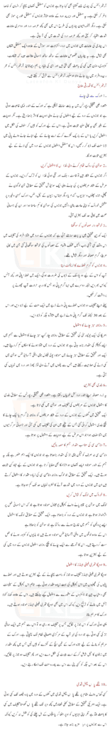 Complete Home Workout Plan for Pakistani Women (2026)